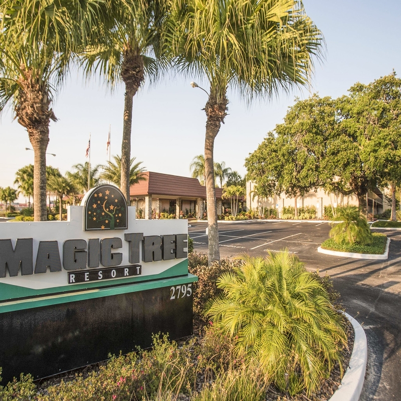 Magic Tree Resort – iTrade Pay Marketplace